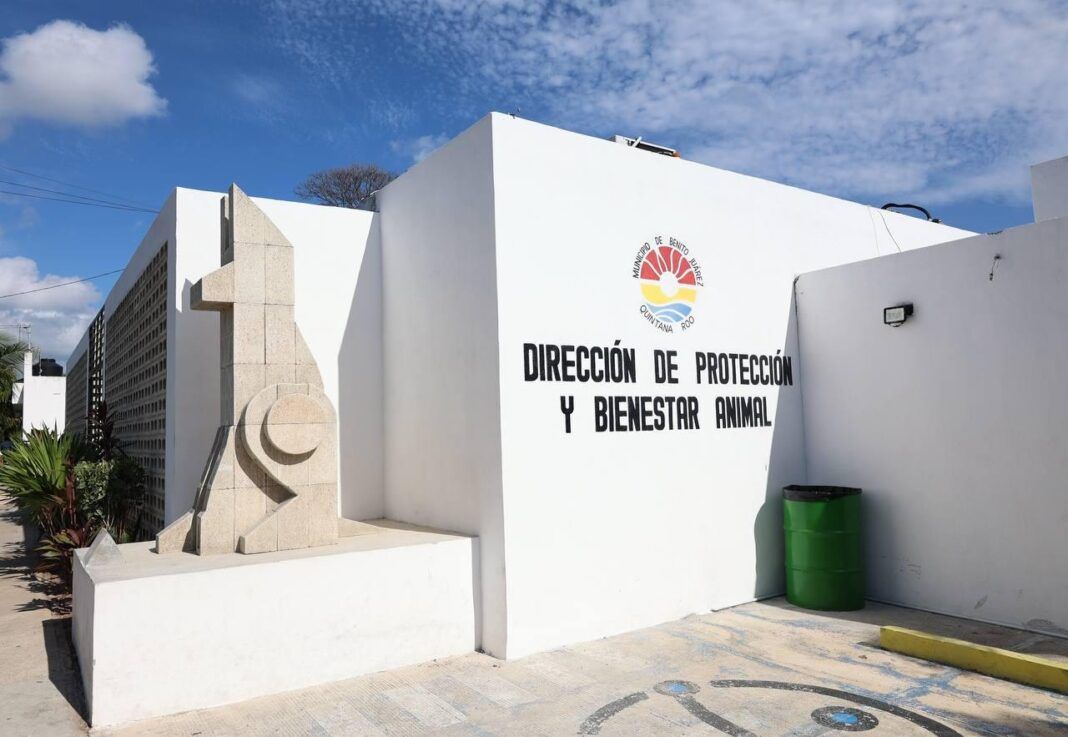 Cancún crea el primer Instituto Municipal para la Protección y ...